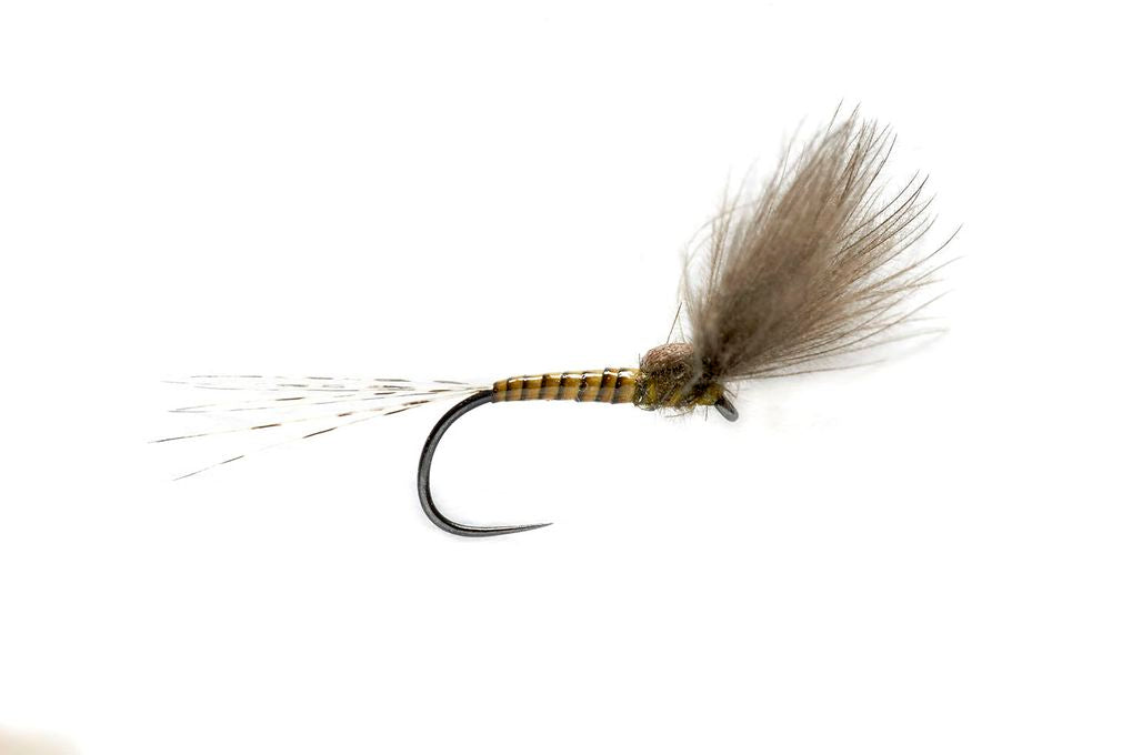 BWO Split Wing Dun — The Flyfisher