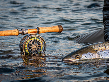 Murray Cod Fly Rods | Shop at The Flyfisher