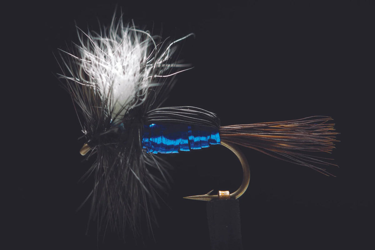 Humpy Blue Bottle Blowfly Pattern — The Flyfisher