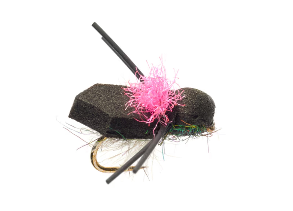 Procter's Bluebottle Pink Wing — The Flyfisher
