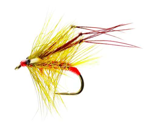 Yellow Bristol Hopper — The Flyfisher