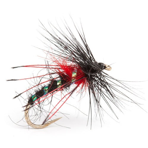 bill-becks-bibio-hopper-trout-fly — The Flyfisher