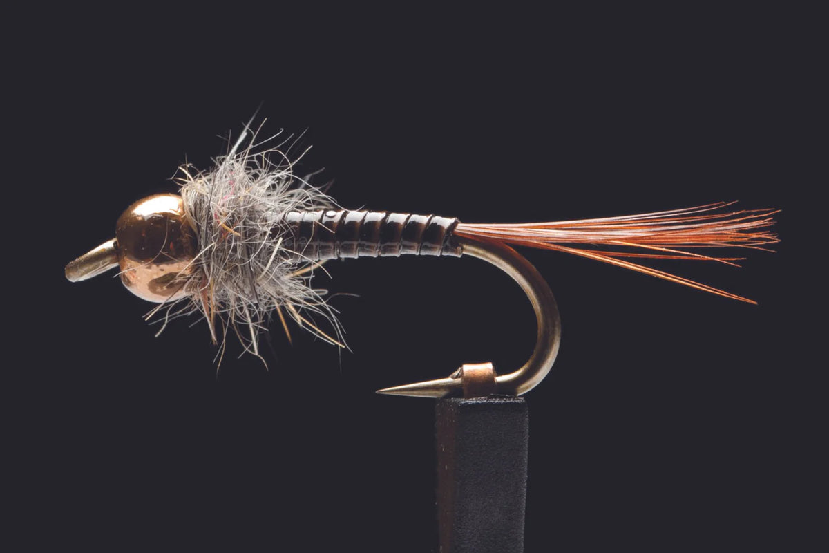 Coffee Quill Nymph — The Flyfisher