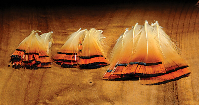 Hareline Golden Pheasant Small Tippets — The Flyfisher