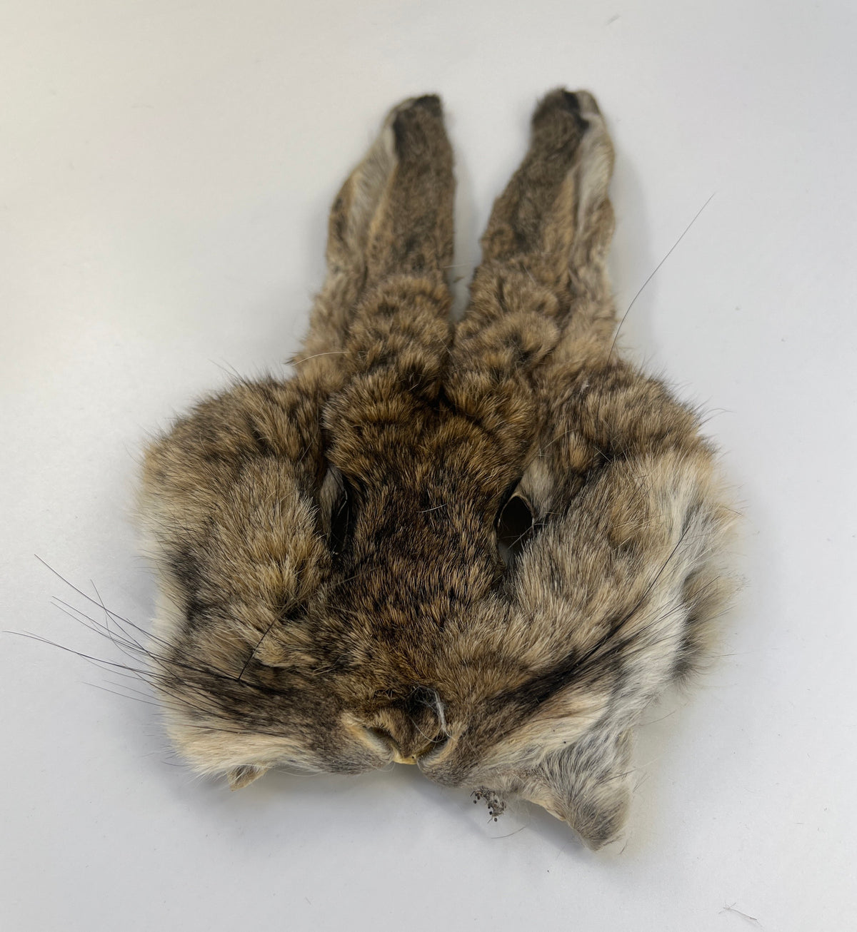 Tiewell Hare's Mask Natural