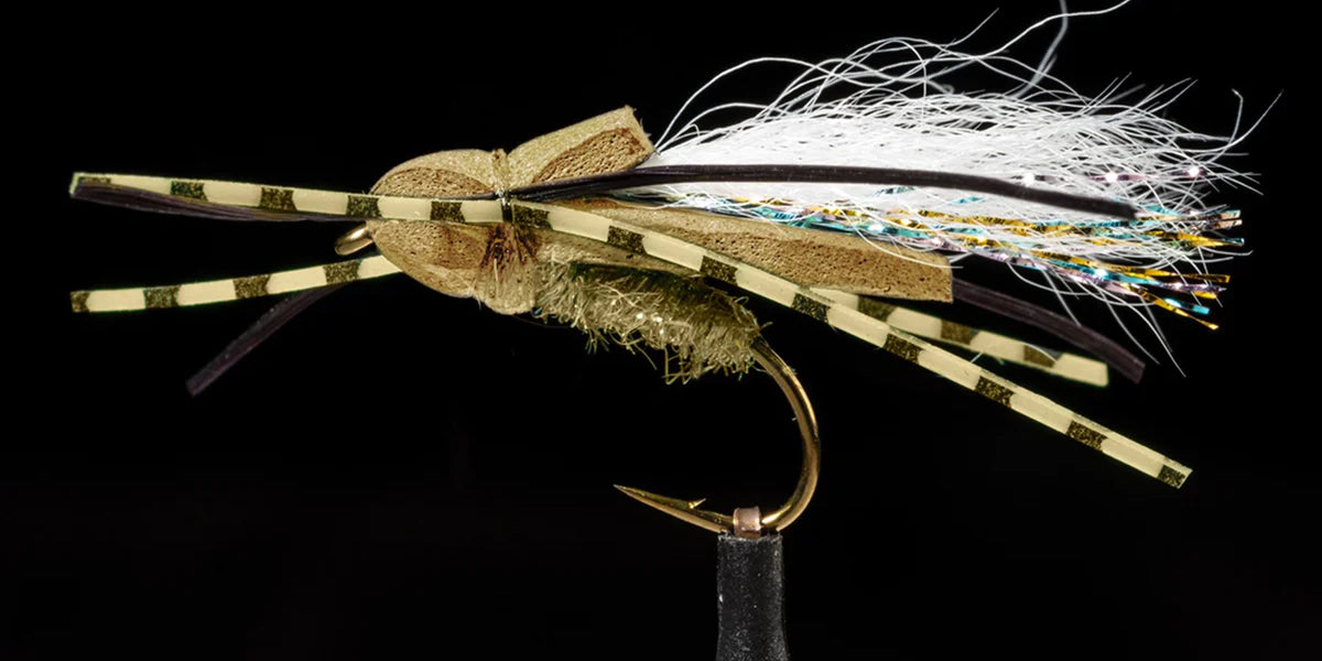 Flat Back Cicada Tan