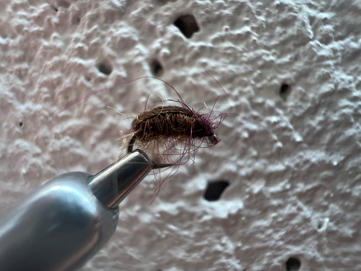 Fiery Brown Beetle WET — The Flyfisher