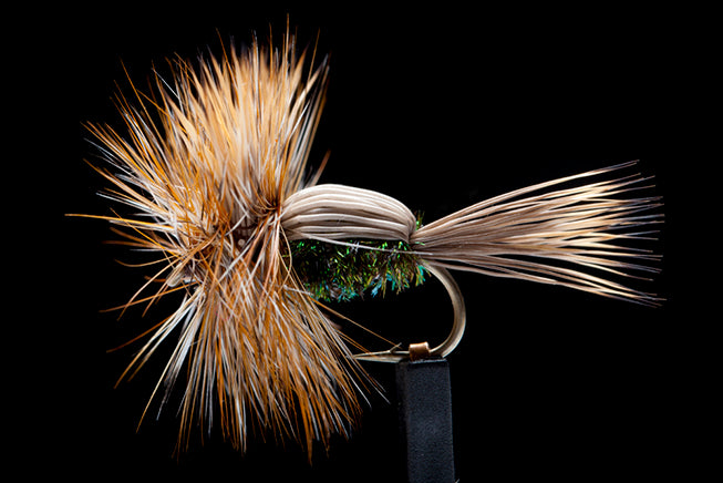 Humpy Peacock Dry Fishing Fly Australia | The Flyfisher