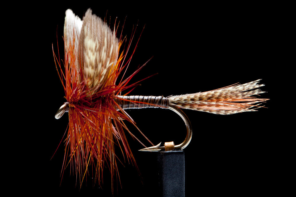 Kakahi Queen Fly Australia - Kakahi Queen Fly Pattern — The Flyfisher