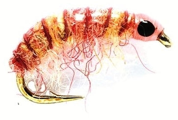 Micro Shrimp Watery Pink — The Flyfisher